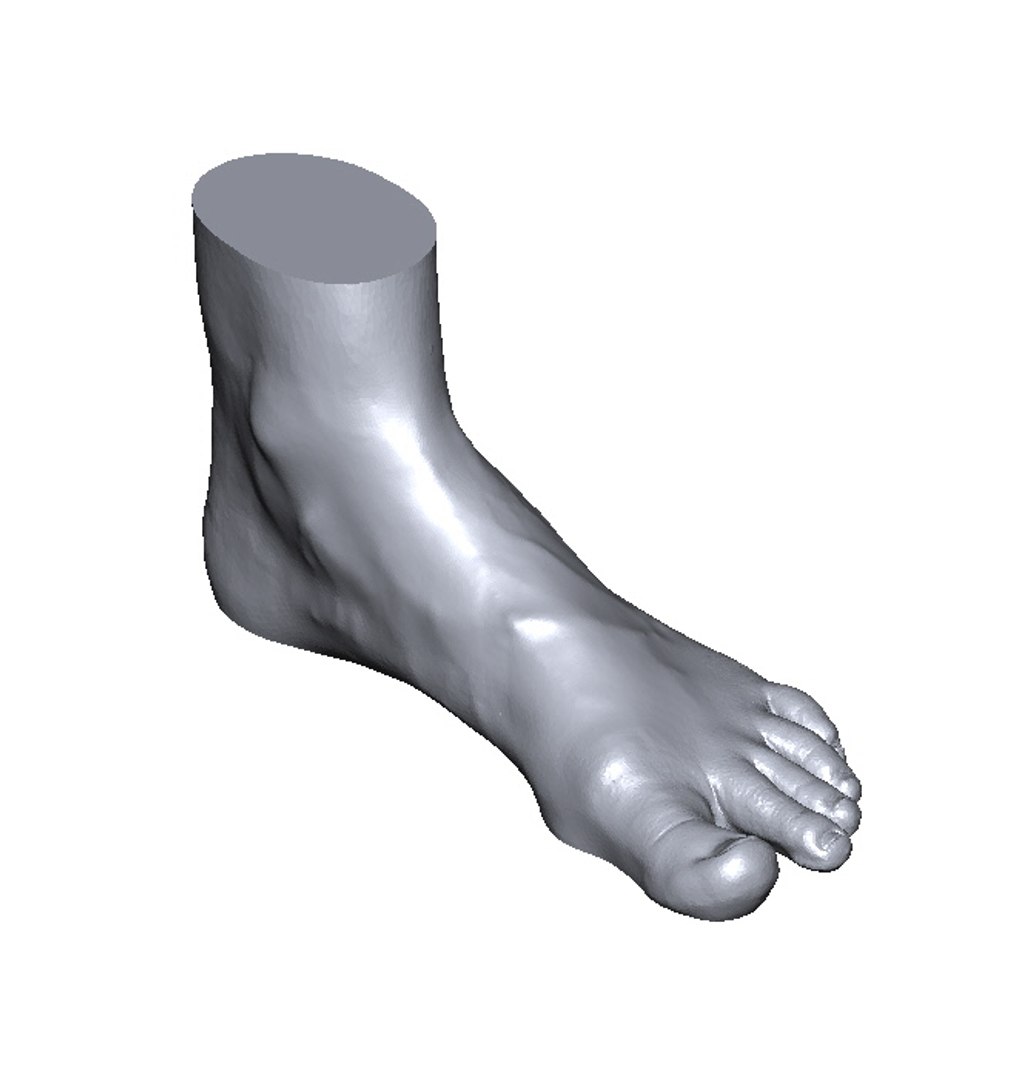 Scan Foot 3D Model - TurboSquid 1348821