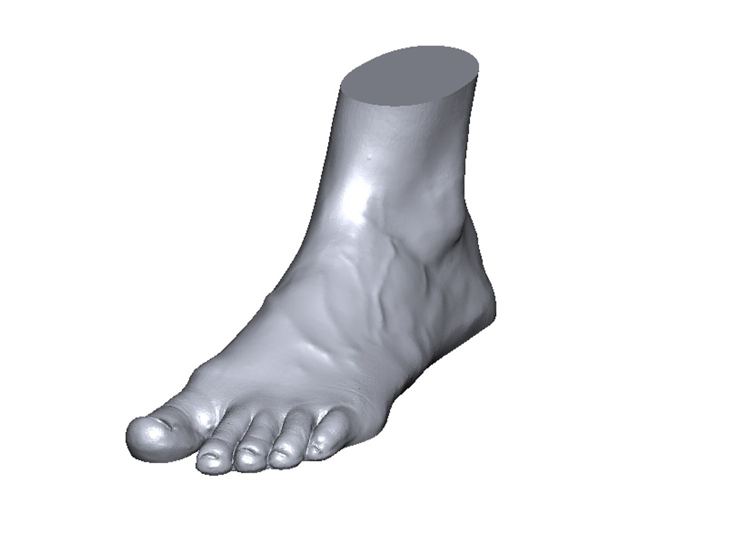 Scan Foot 3D Model - TurboSquid 1348821
