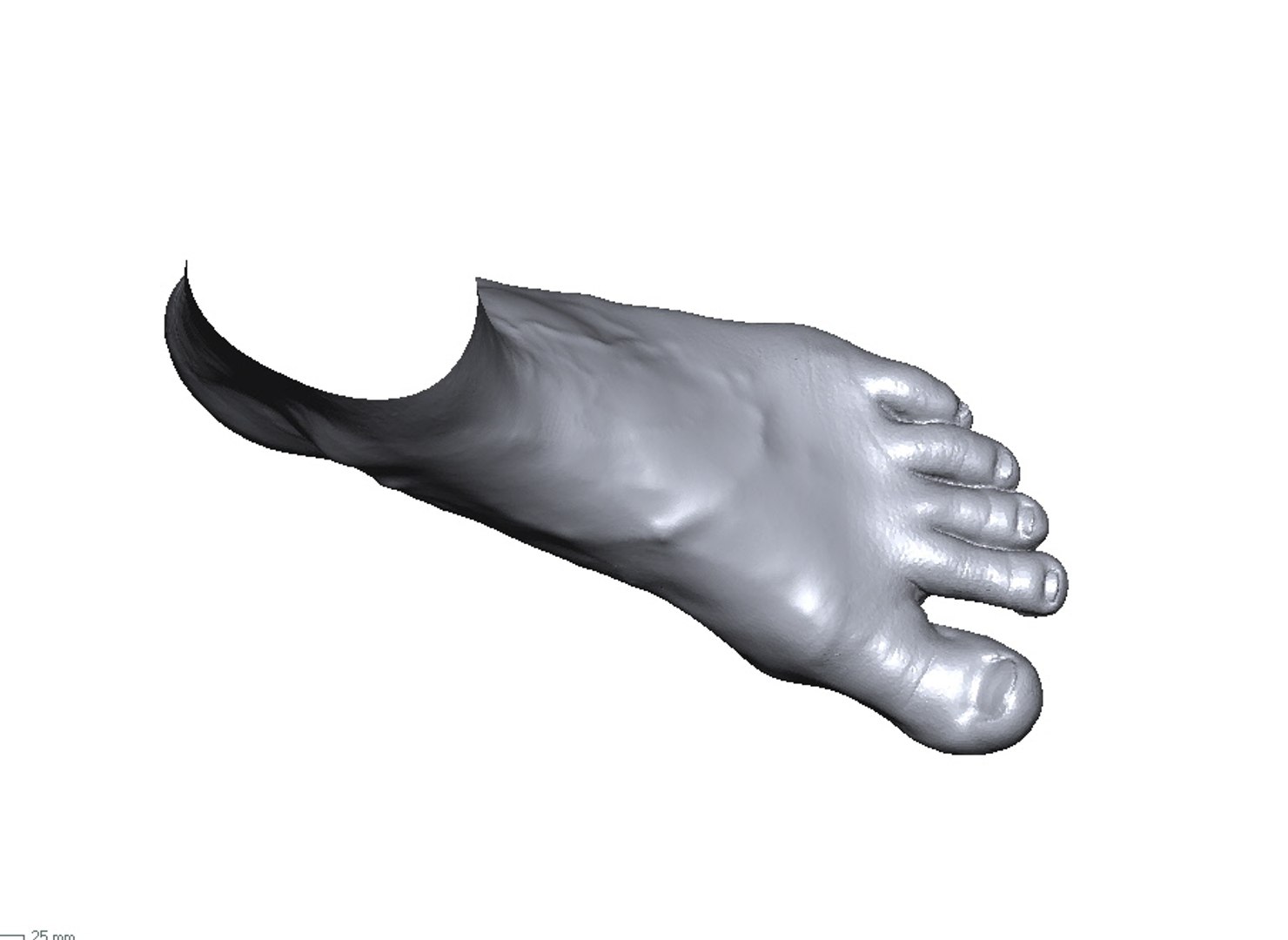 Scan Foot 3D Model - TurboSquid 1348821