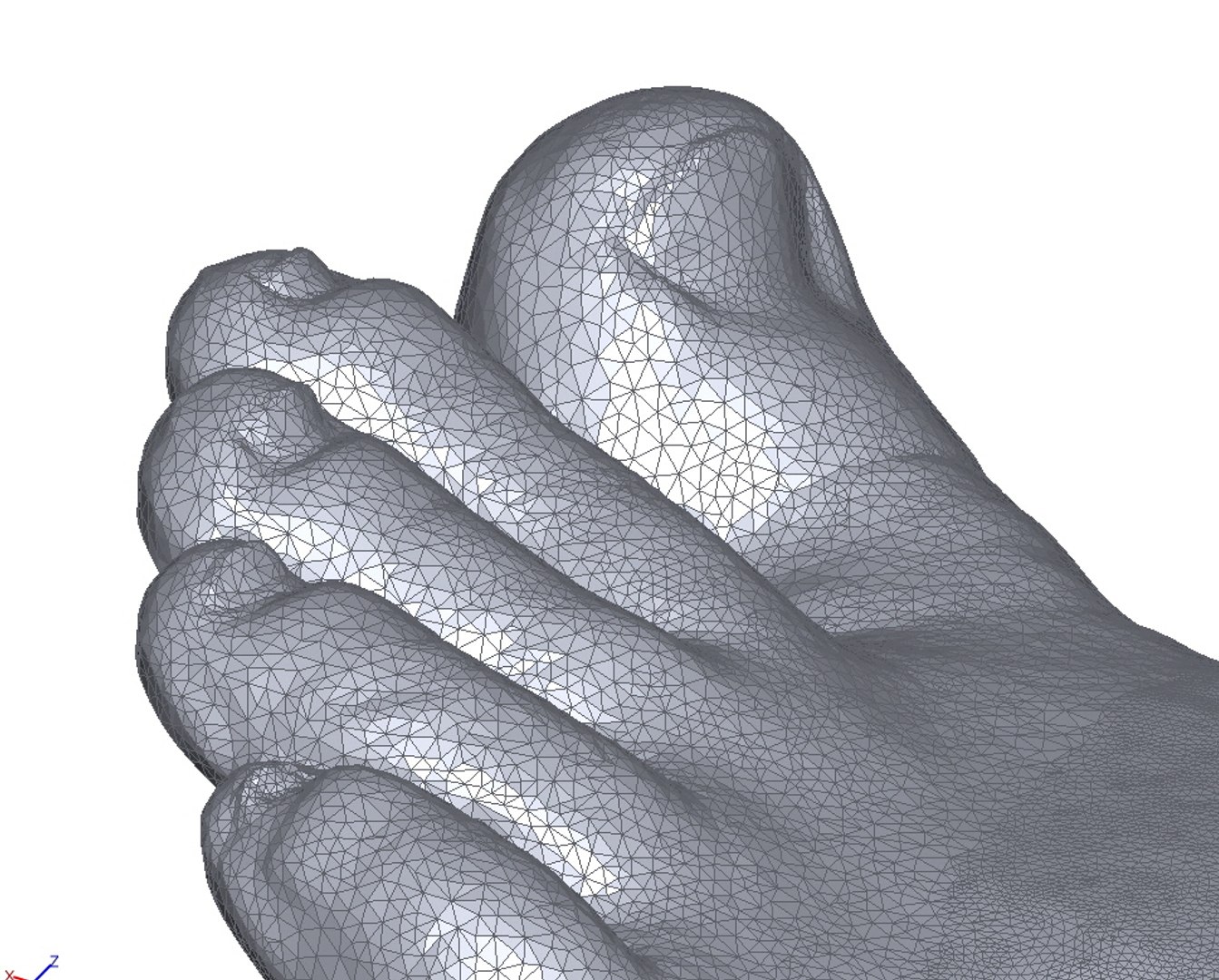 Scan Foot 3D Model - TurboSquid 1348821
