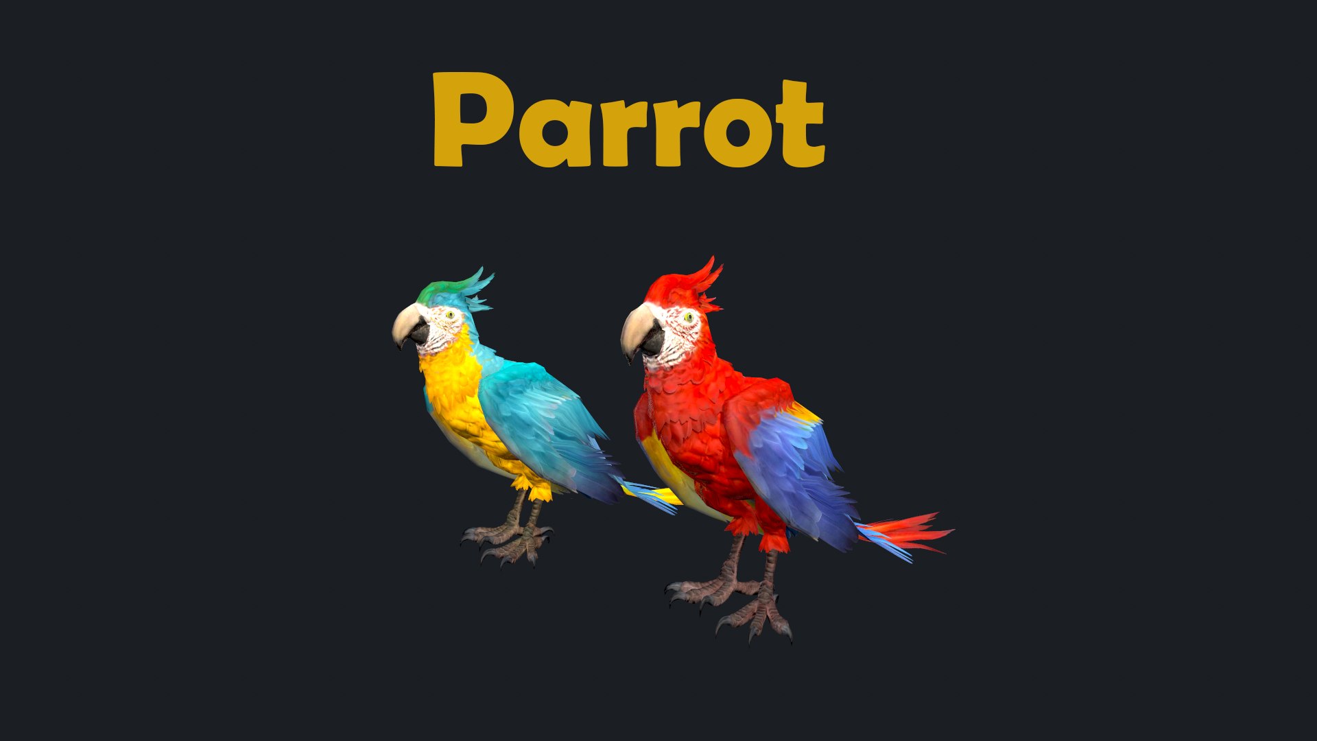 3D Model Parrot Character - TurboSquid 2011751