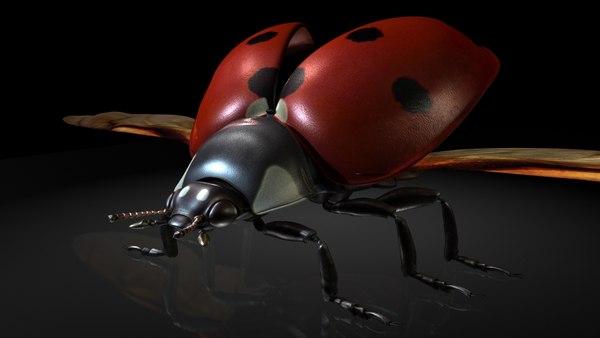 3D insect - TurboSquid 1214440