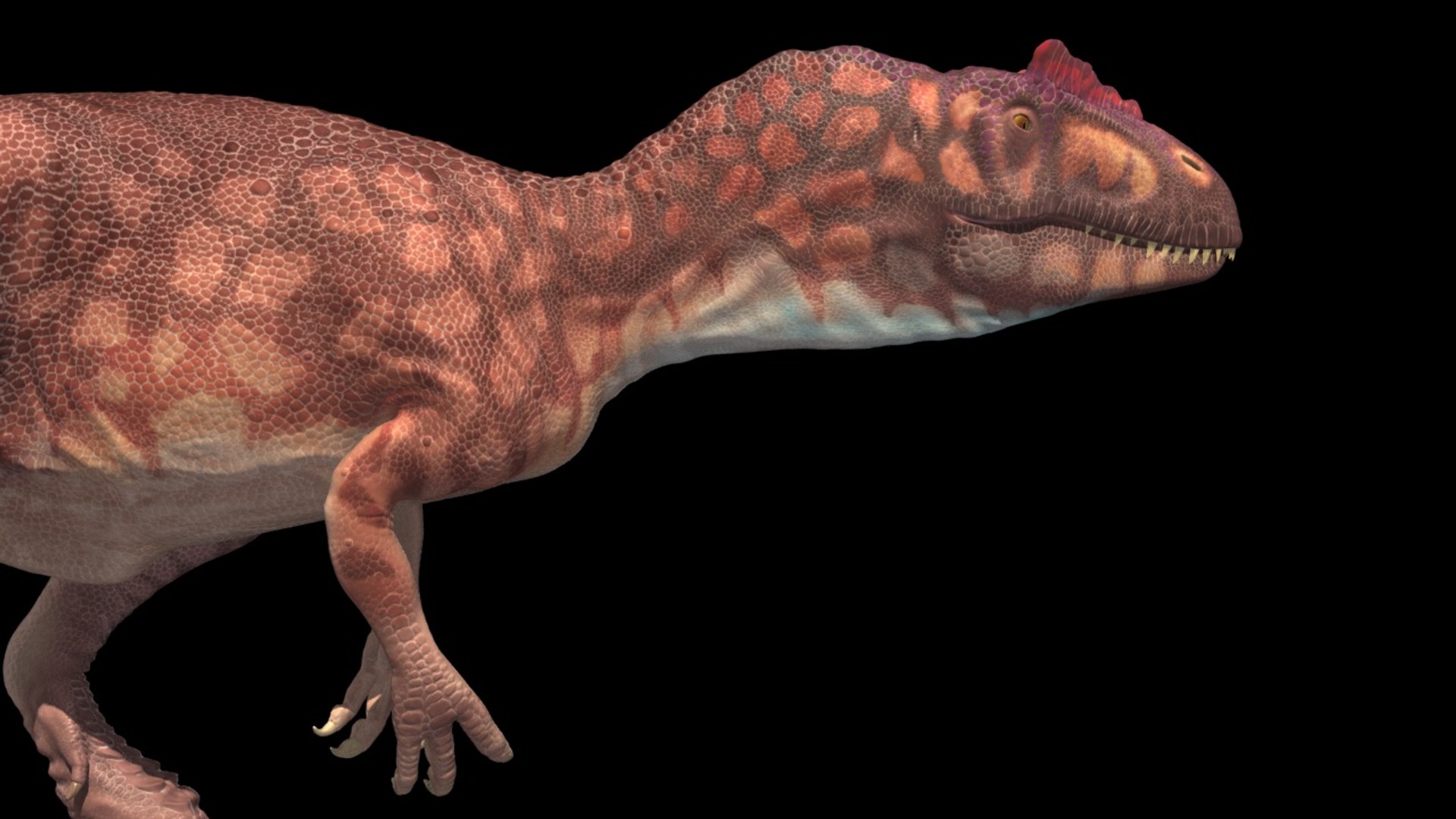 3d High-quality Allosaurus Model