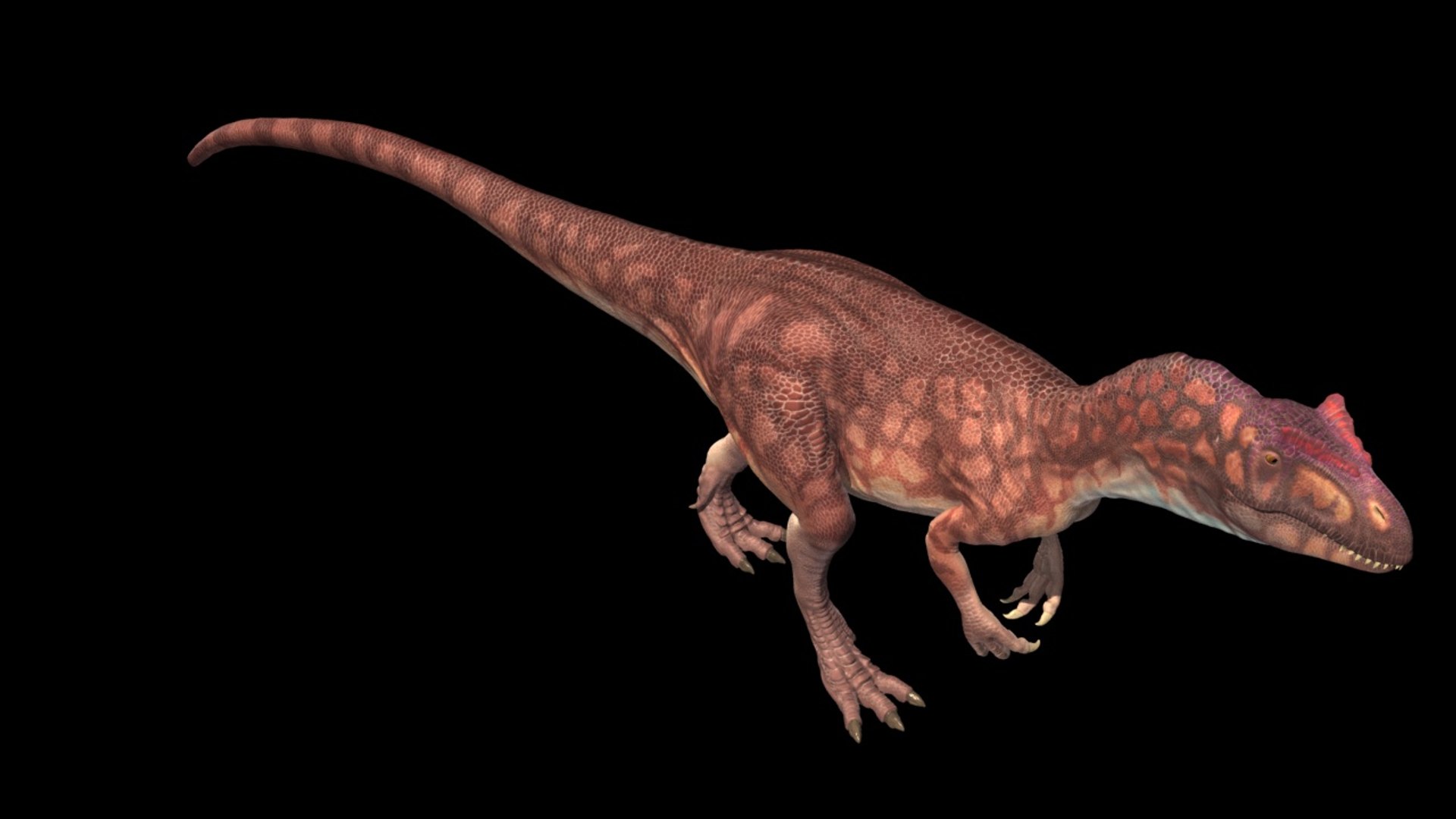 3d High-quality Allosaurus Model