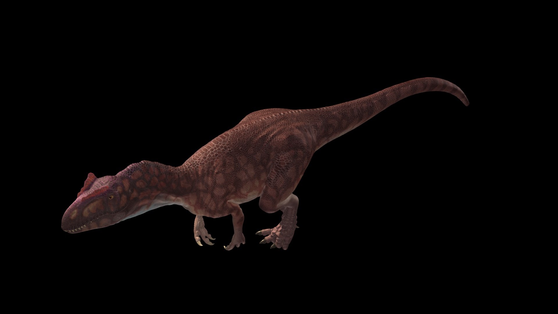 3d High-quality Allosaurus Model