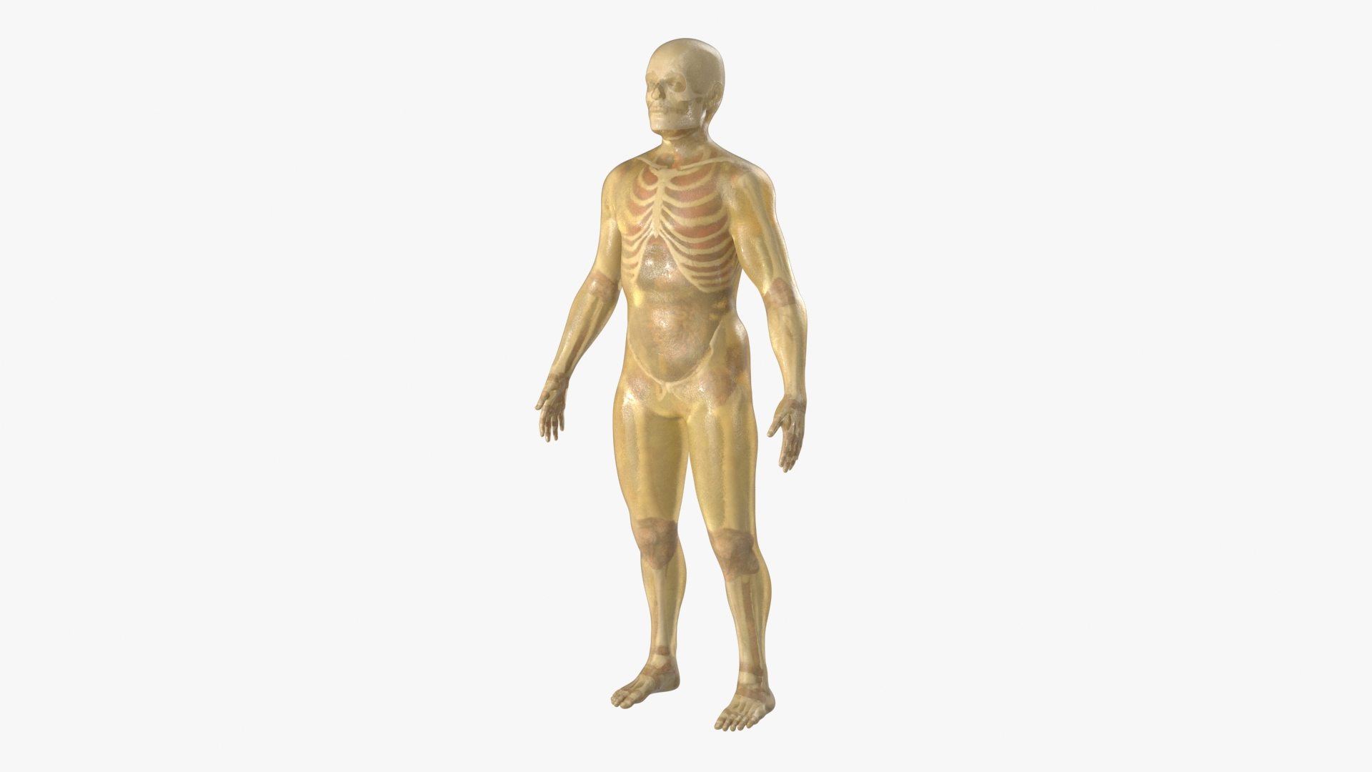 Ballistics Gel Torso For Firearms Testing 3D Model - TurboSquid 2472519