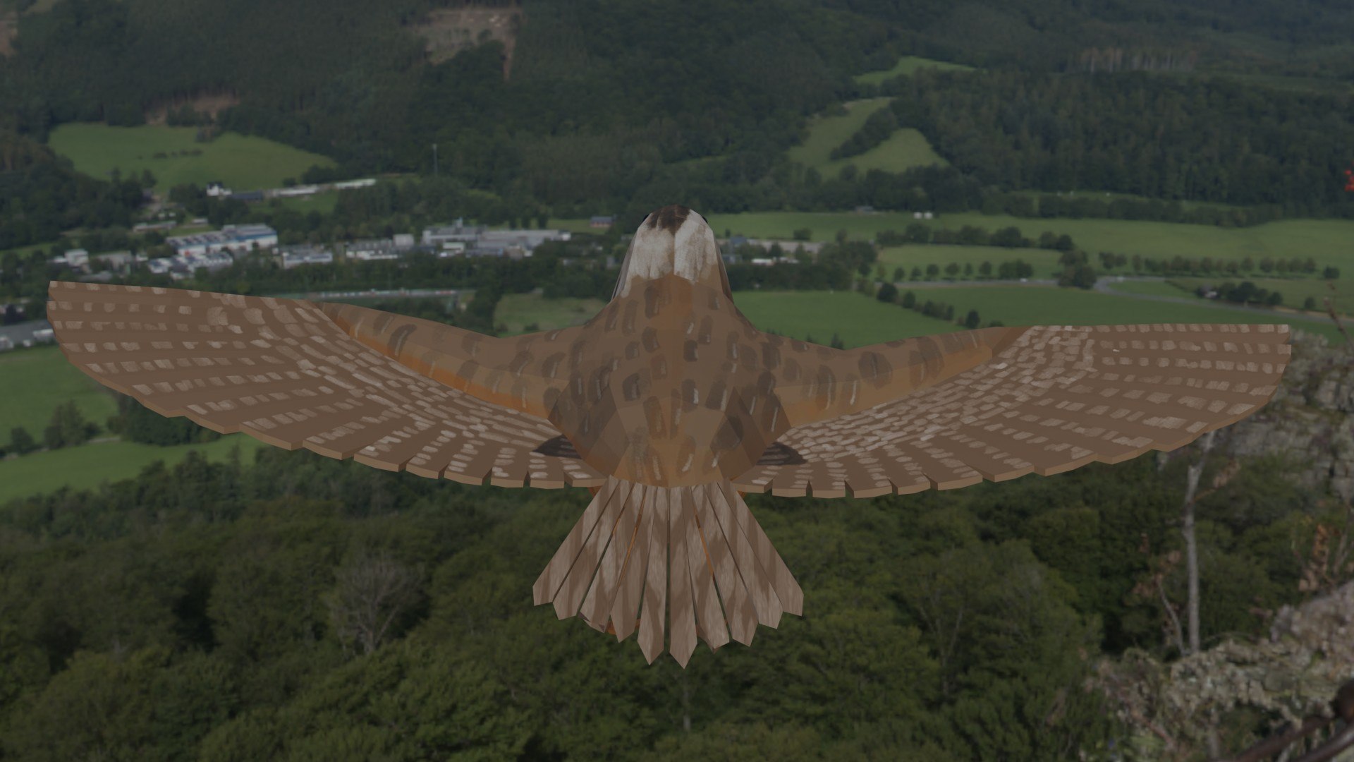 3D Model Bird - TurboSquid 2019033