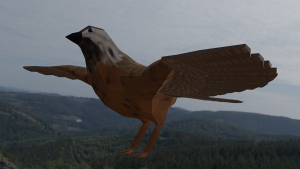 3D model Bird - TurboSquid 2019033
