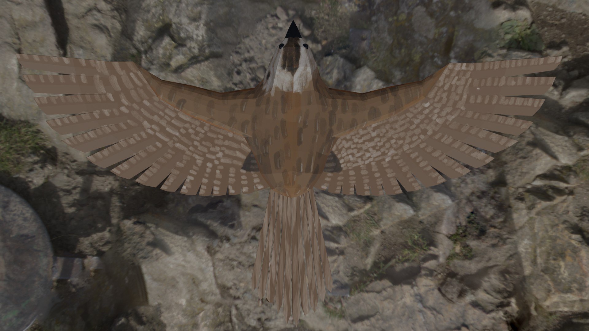 3D Model Bird - TurboSquid 2019033