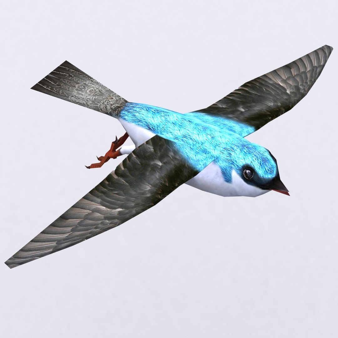 3d 3ds swallow birds