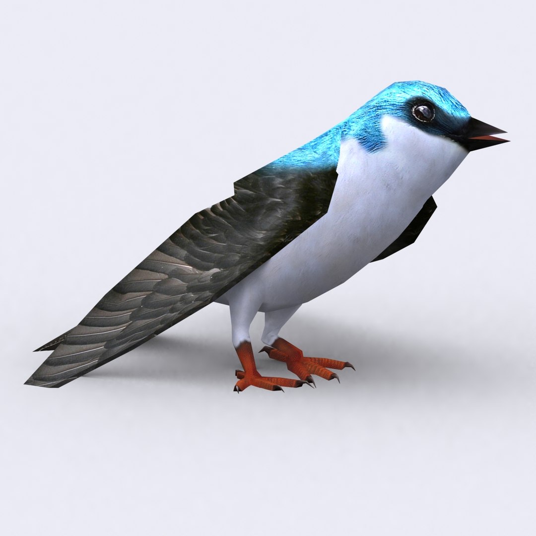 3d 3ds swallow birds