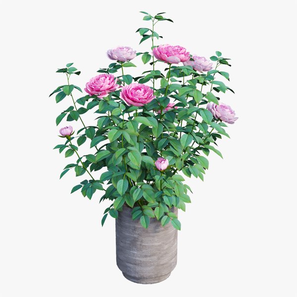 Free Blender Flower Models | TurboSquid