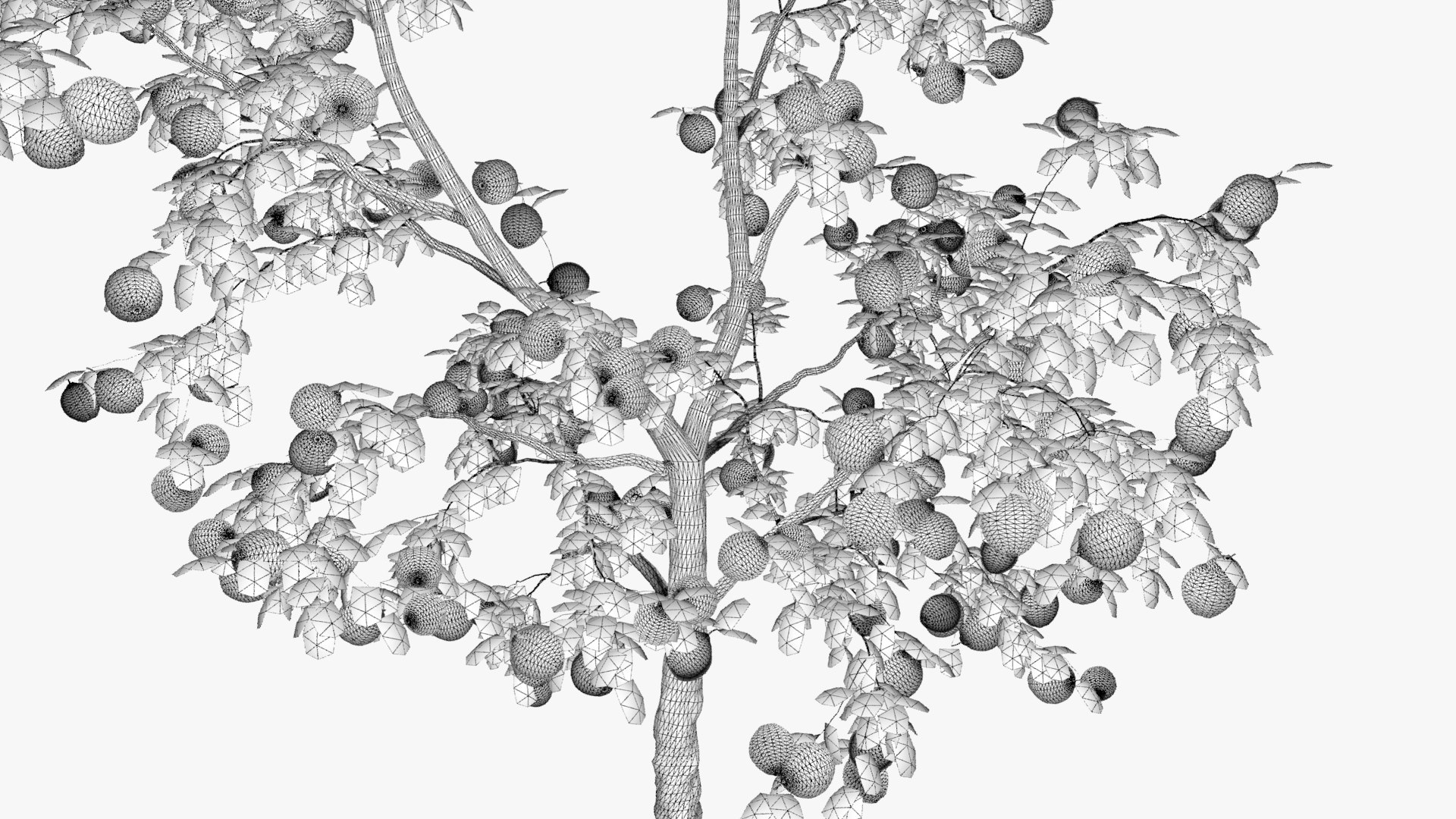 Quince Fruits Hight 3D Model - TurboSquid 1629014