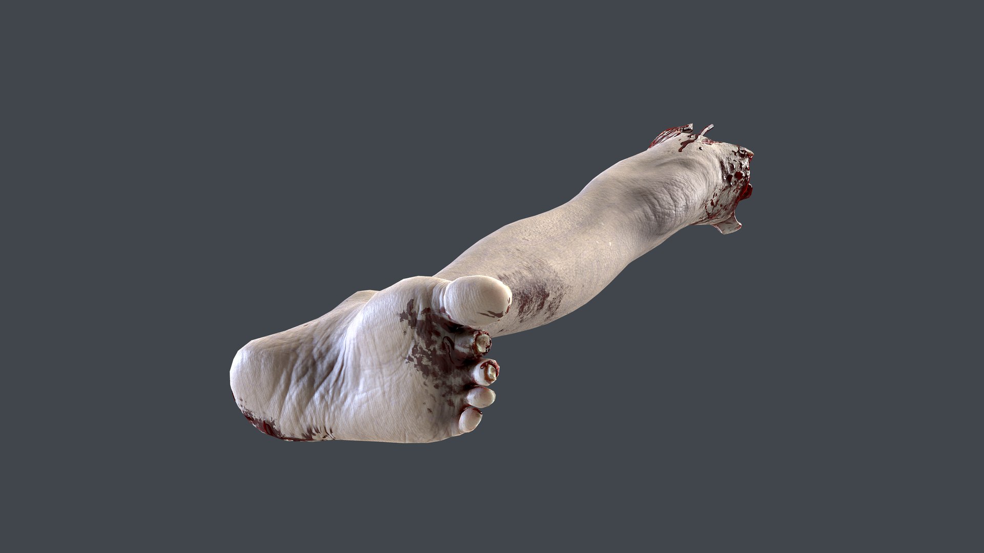 Severed Foot 3 3D Model - TurboSquid 1930592