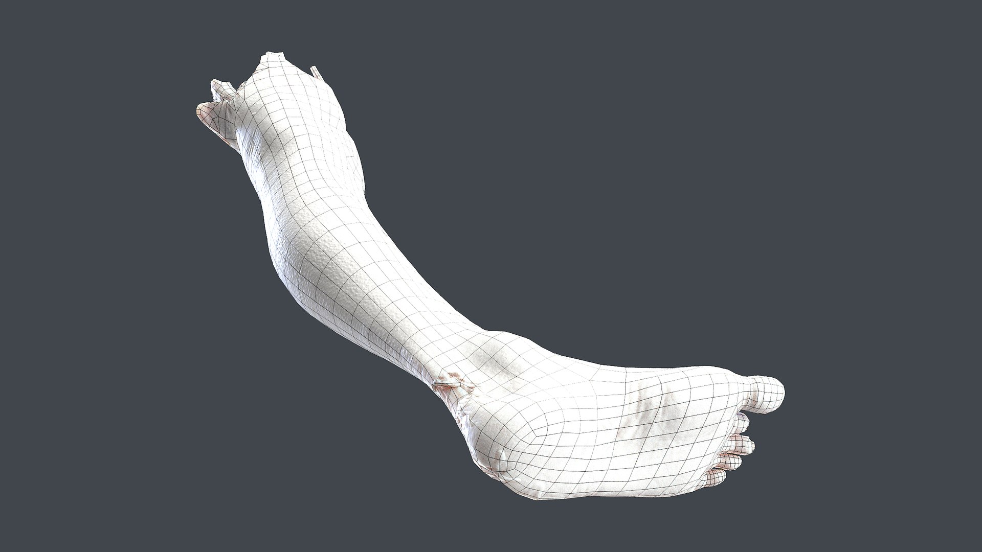 Severed Foot 3 3D Model - TurboSquid 1930592