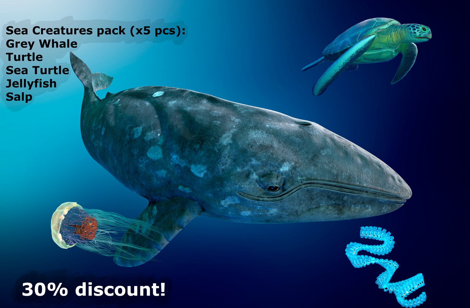 Sea Creatures Ar Vr 3D - TurboSquid 1355548