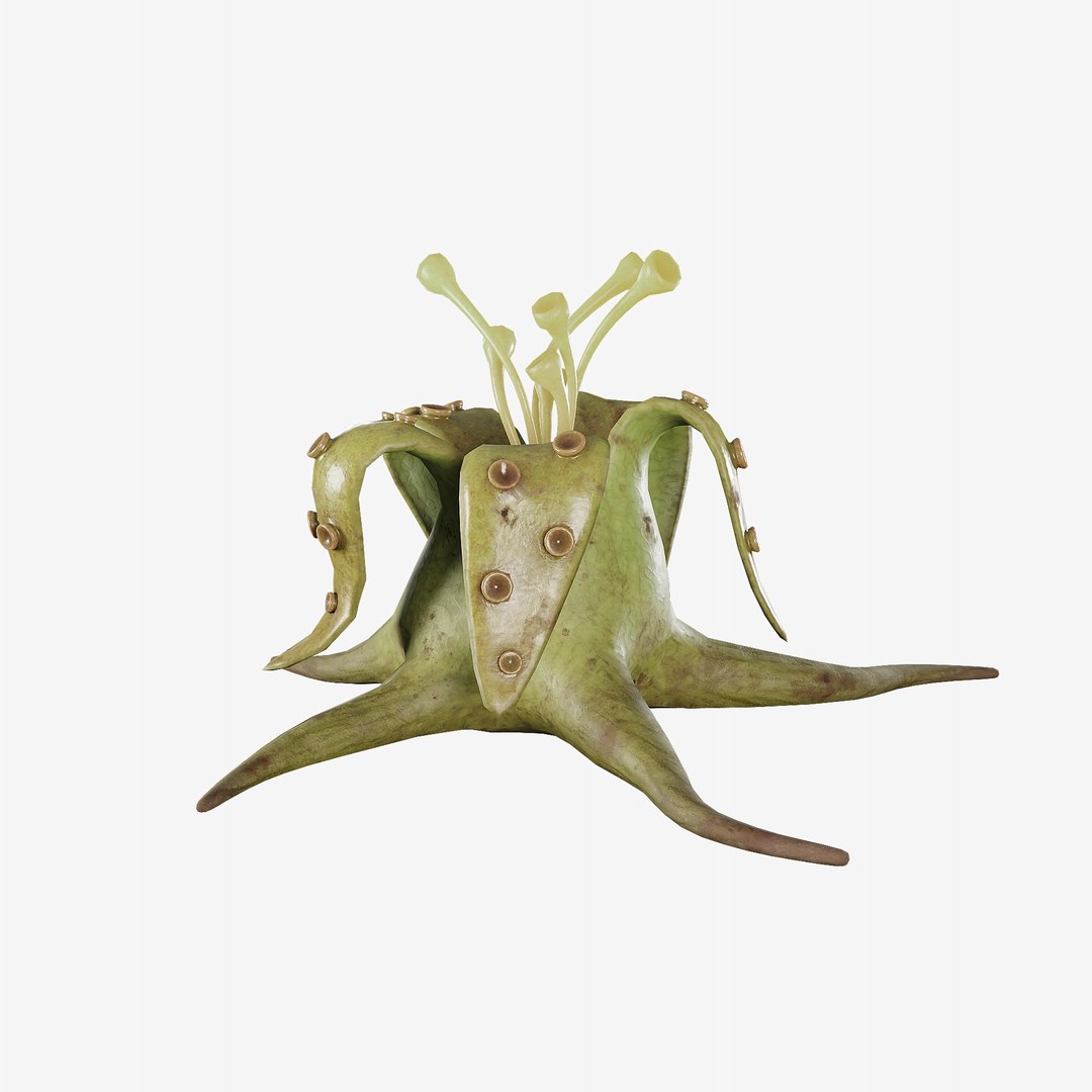 Fotopus Carnivorous Monster Plant Model - TurboSquid 1935996