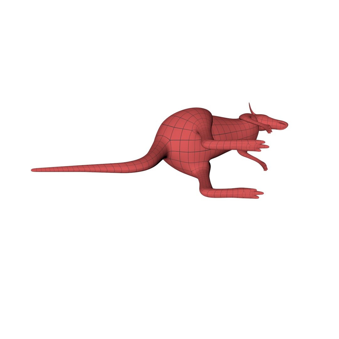 Base Mesh Kangaroo 3d Obj