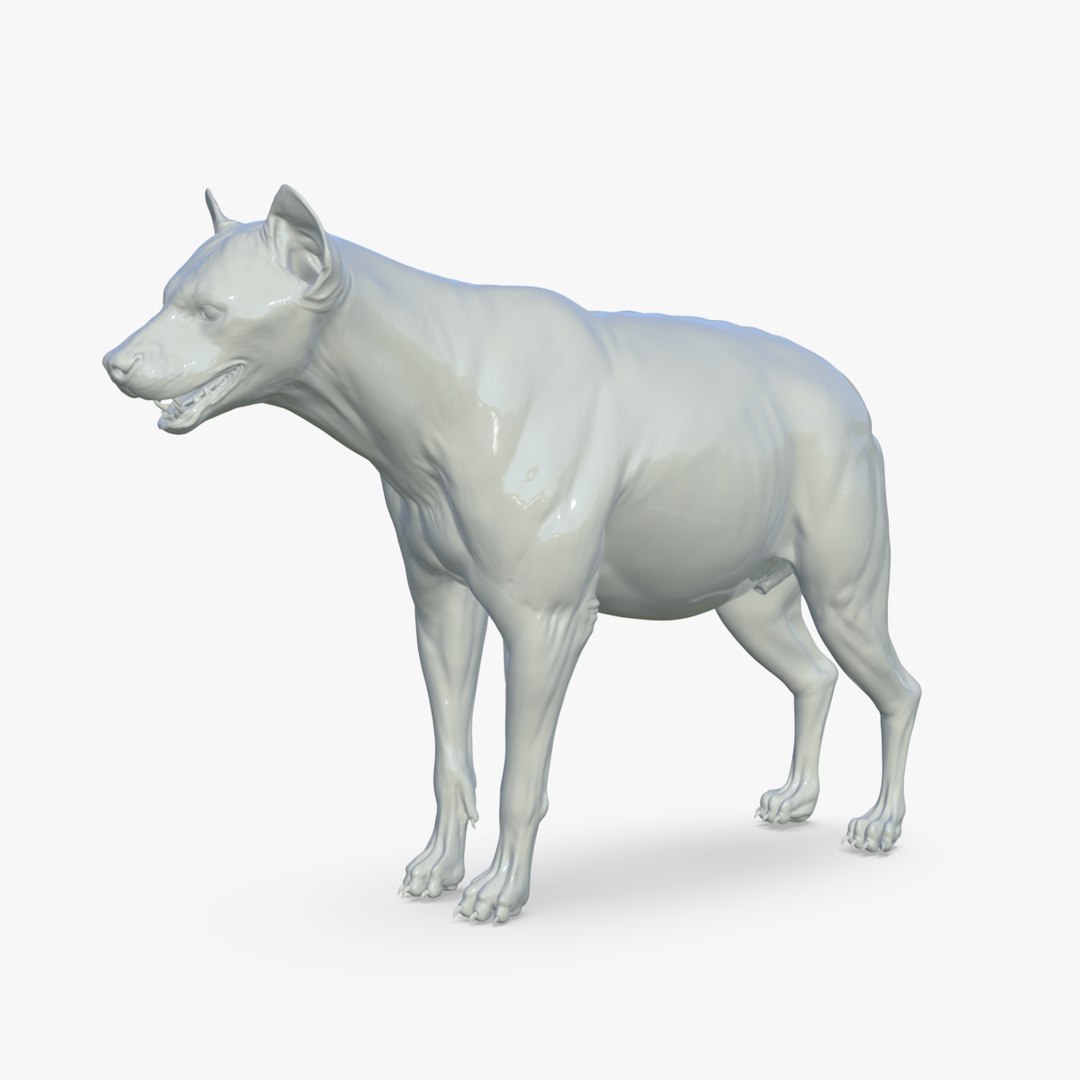Hyena 3D Model - TurboSquid 2207780