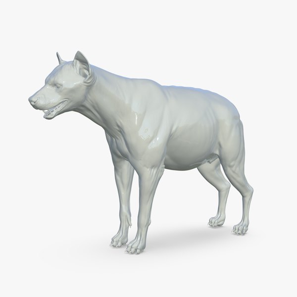 3D Hyena Models | TurboSquid