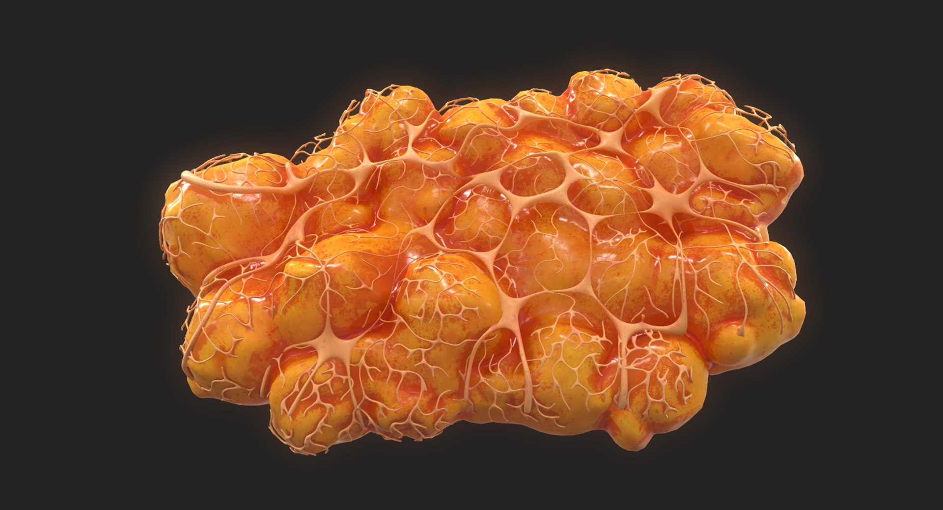 3D Model Fat Cell - TurboSquid 1424173