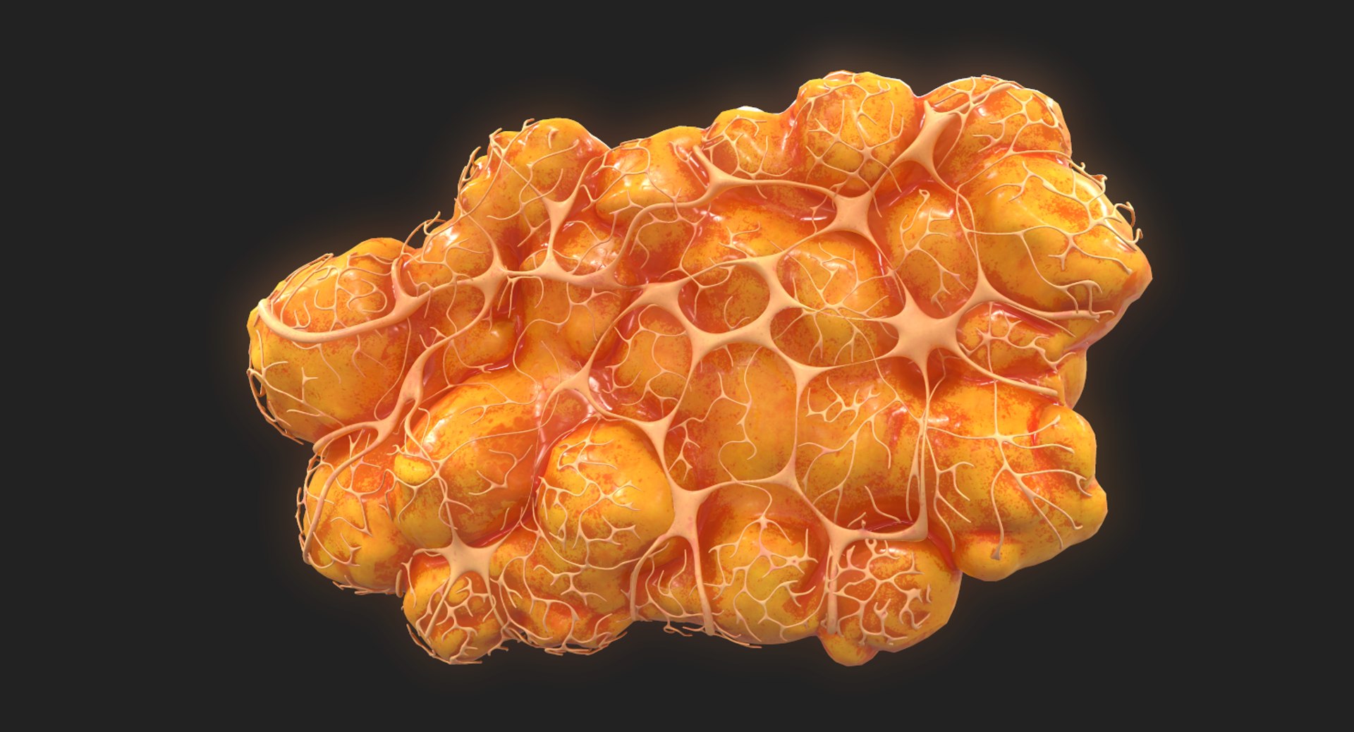 3D Model Fat Cell - TurboSquid 1424173