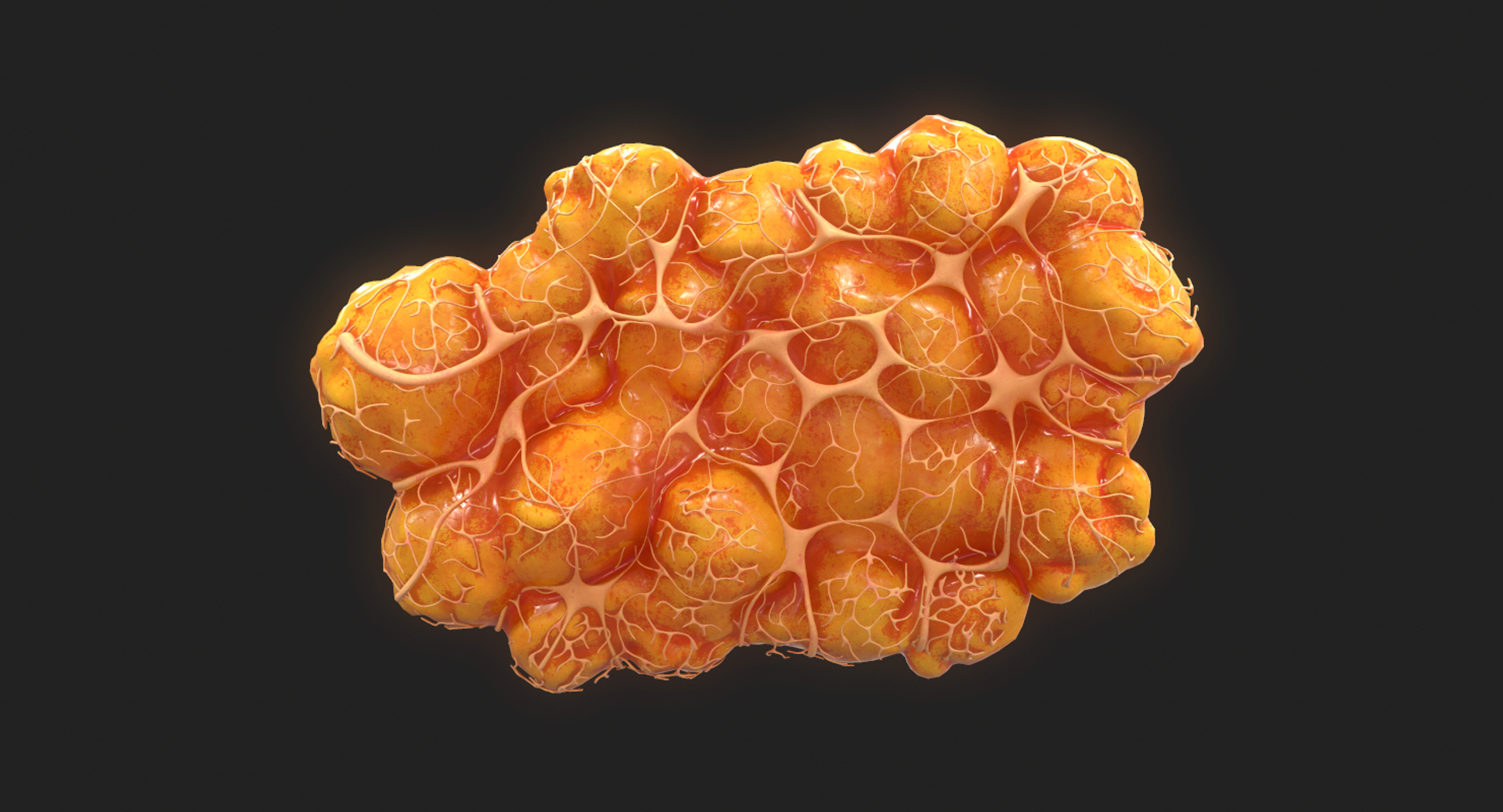 3D Model Fat Cell - TurboSquid 1424173