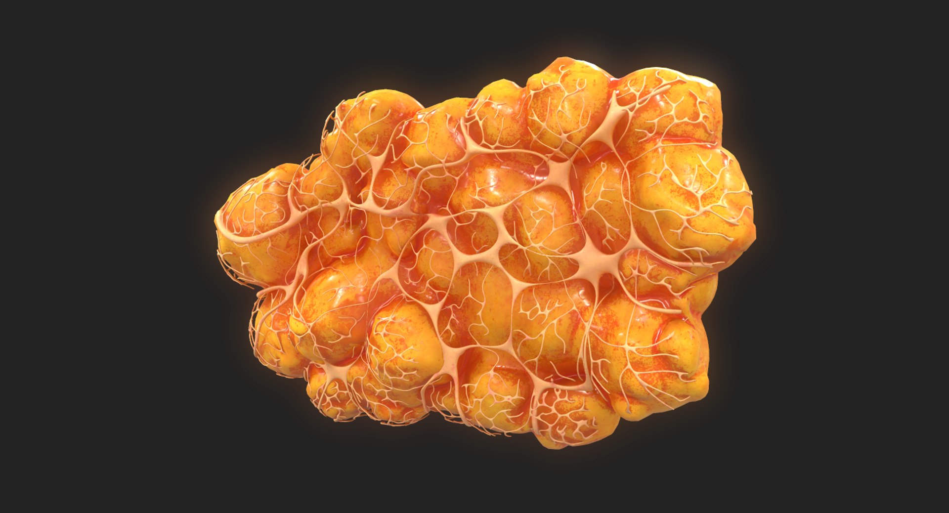 3D Model Fat Cell - TurboSquid 1424173
