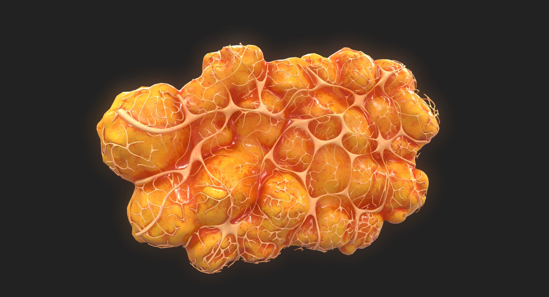 3D Model Fat Cell - TurboSquid 1424173