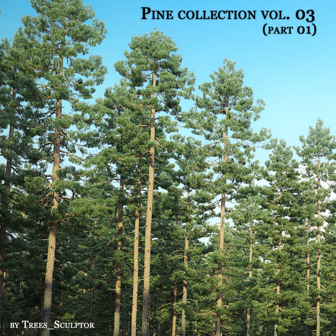 Pine-tree Tree Model - TurboSquid 1257048