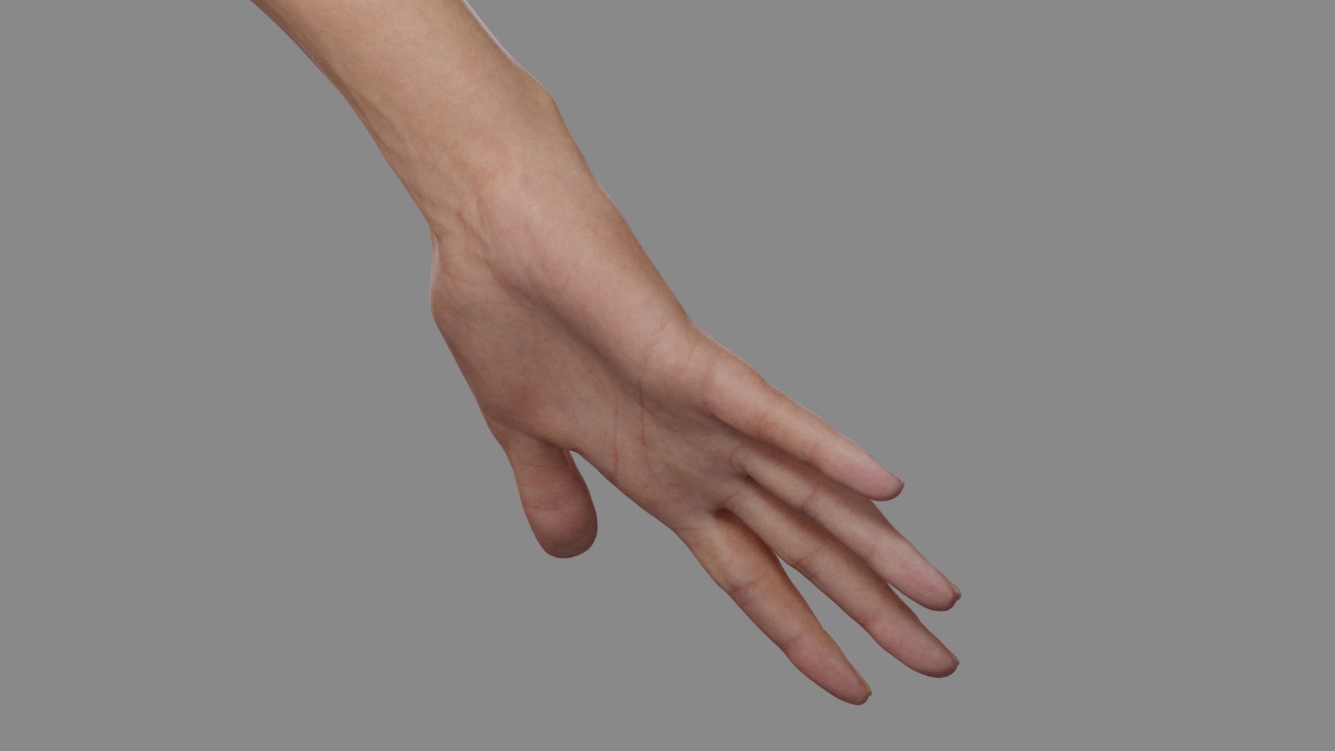 Woman Torrie Model - TurboSquid 2042556