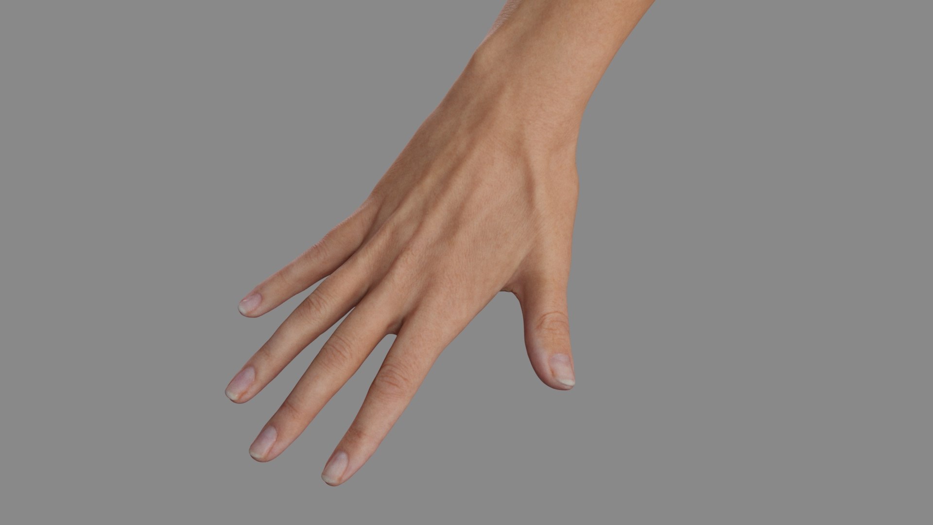 Woman Torrie Model - TurboSquid 2042556