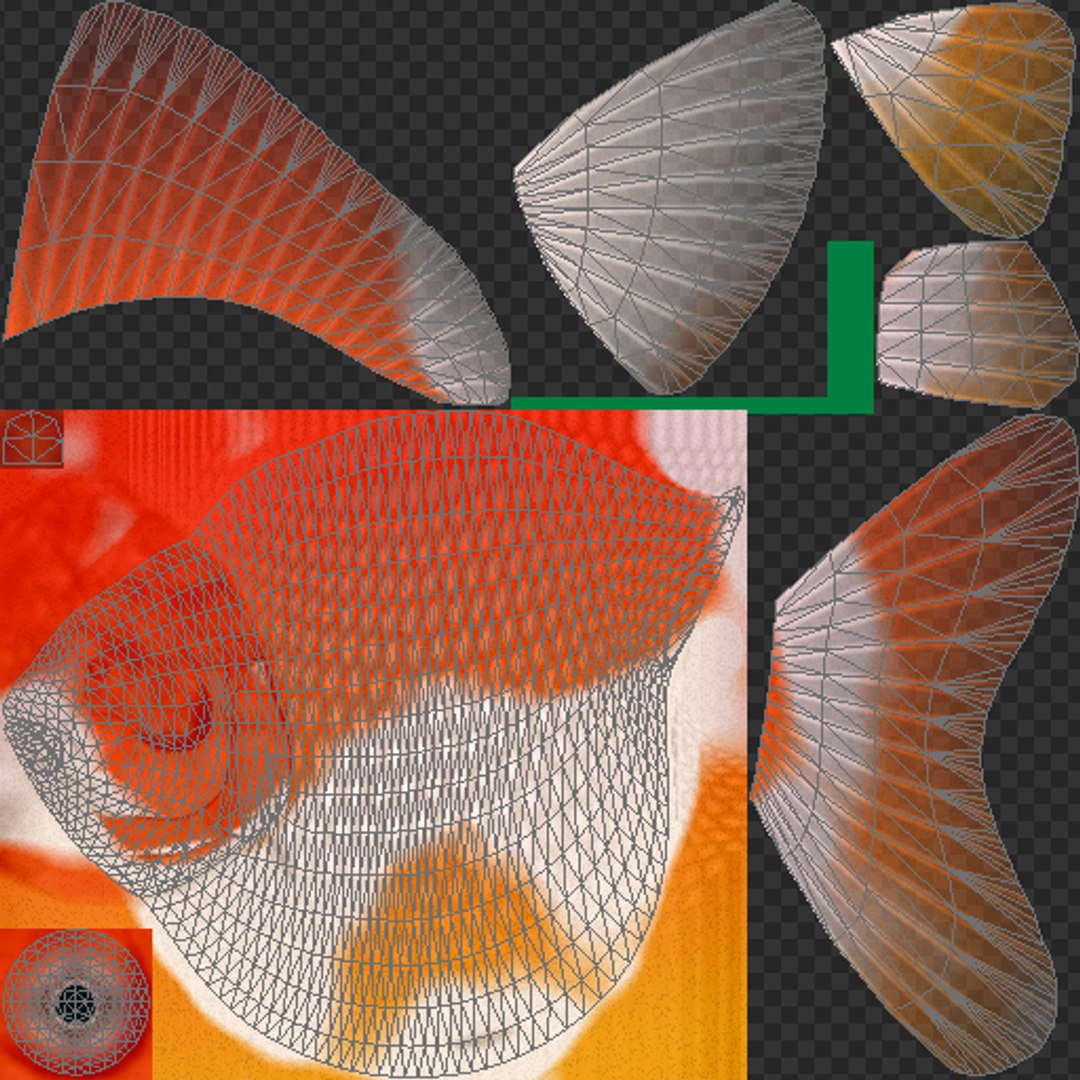 Fish Goldfish Ping-pong 3d Model