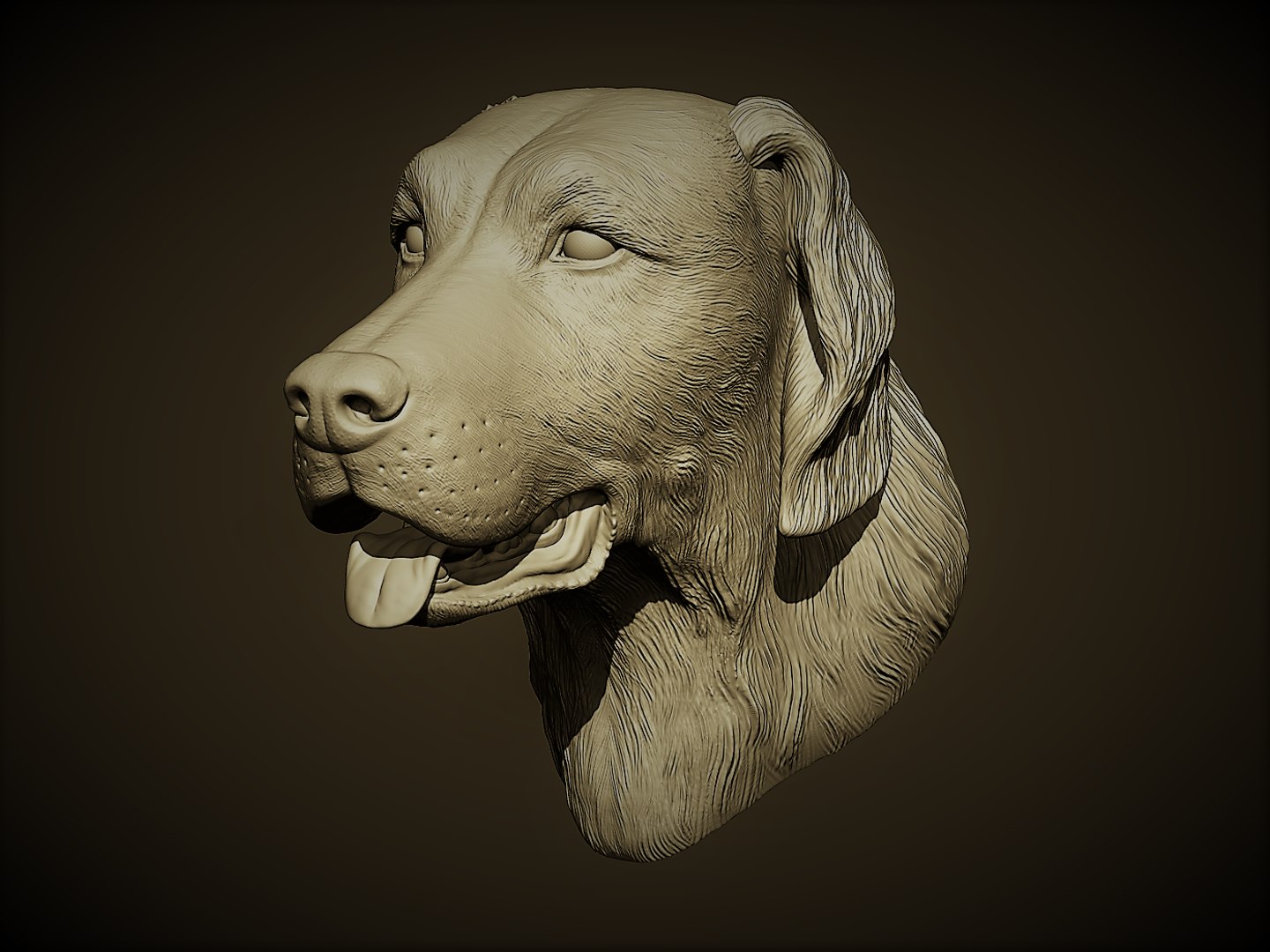Retrievers Dog Head Model - TurboSquid 1306642