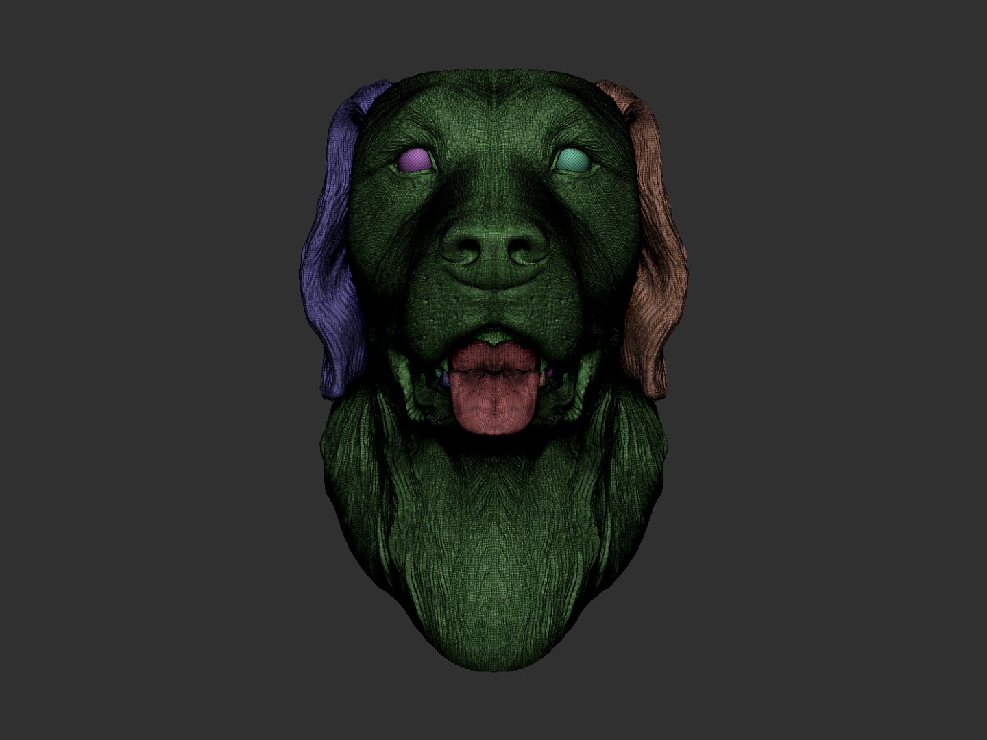Retrievers Dog Head Model - TurboSquid 1306642