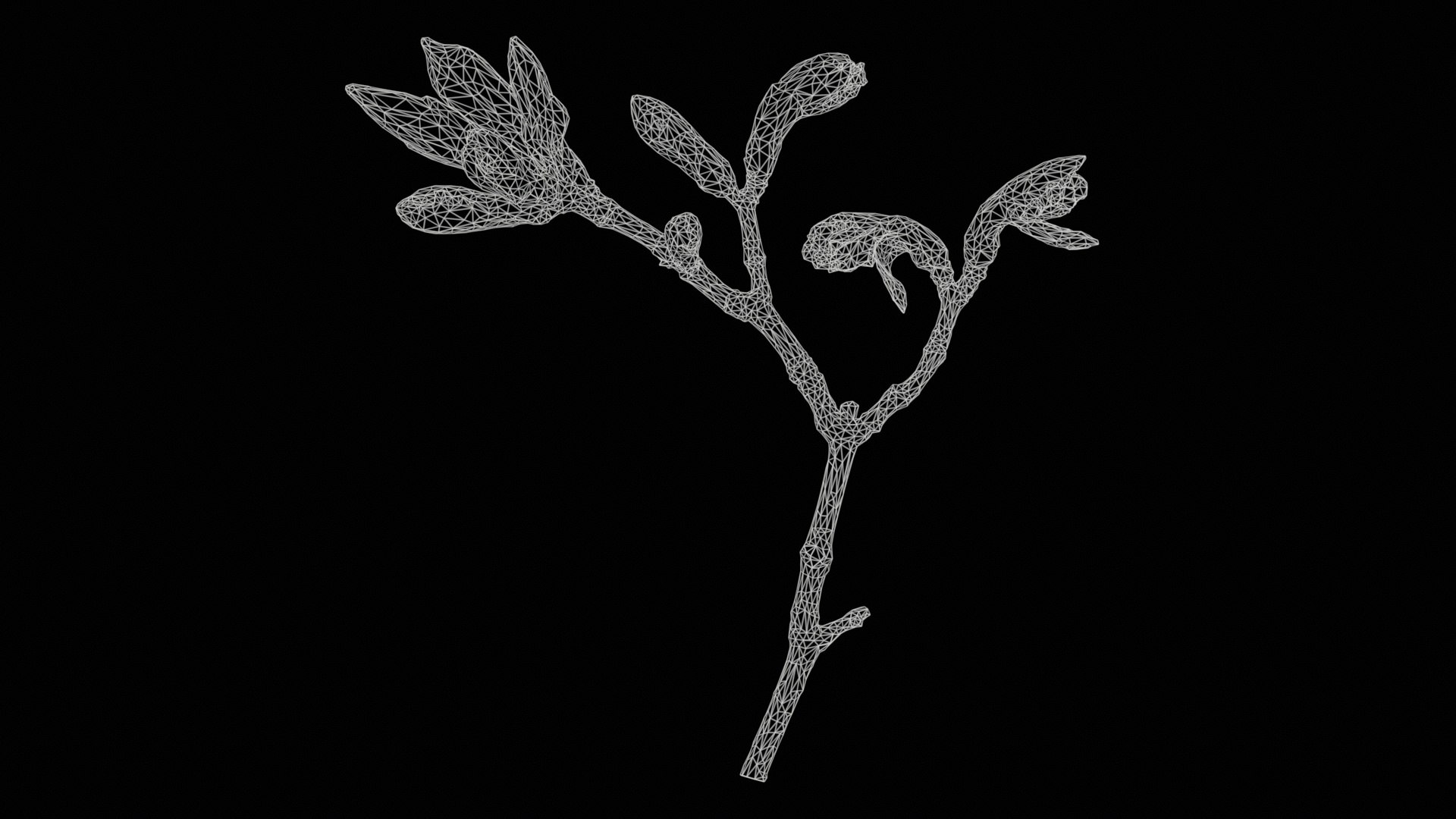 Acer Opalus Mill Italian Maple Sapindaceae Sprout Remastered 3D Model ...