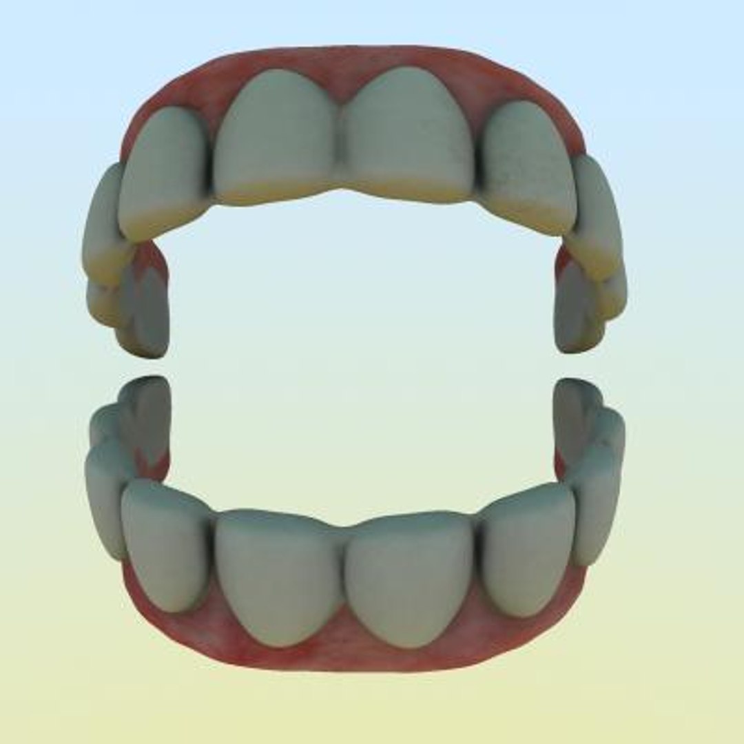 Cartoon Teeth 3d Model