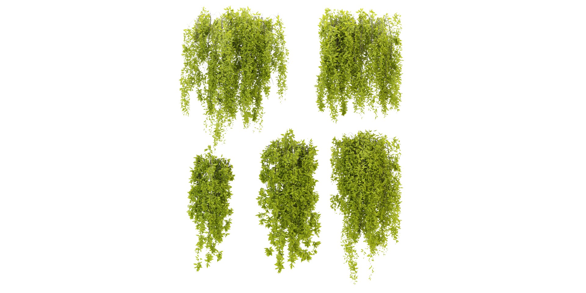 3D Collection Plant Vol 281 - Blender Model Model - TurboSquid 2091635