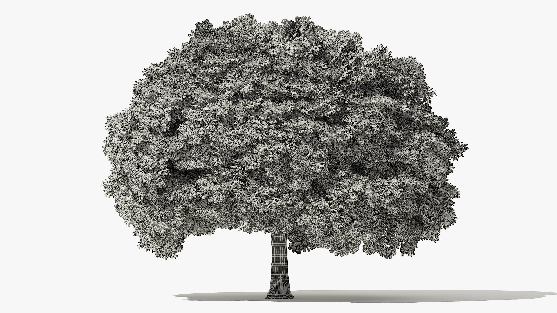 3D Autumn Norway Maple Tree Model - TurboSquid 1478808