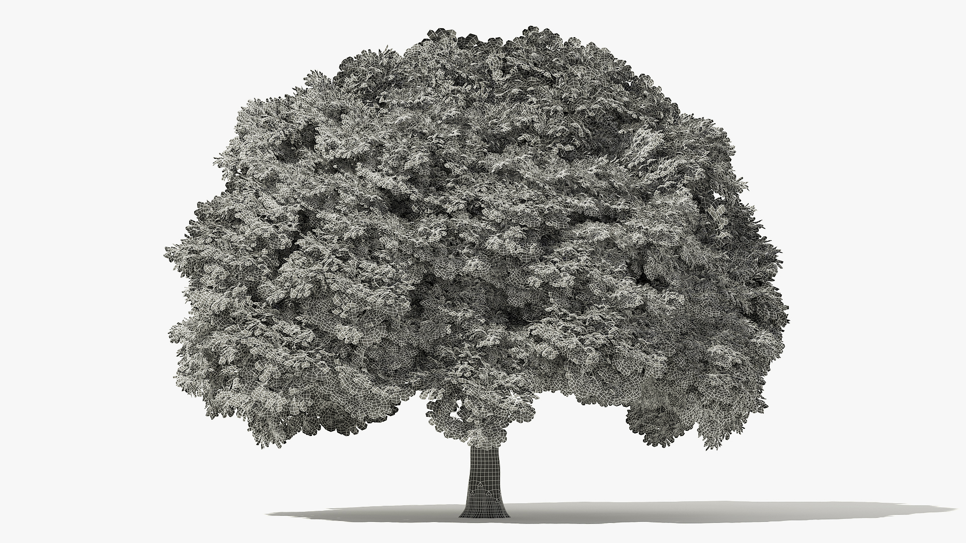 3D Autumn Norway Maple Tree Model - TurboSquid 1478808