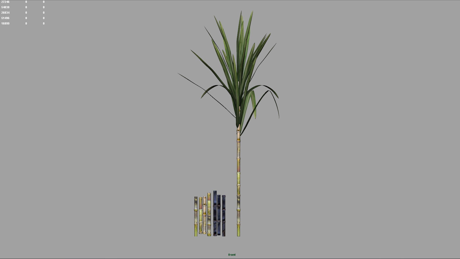 3D sugar cane - TurboSquid 2050269