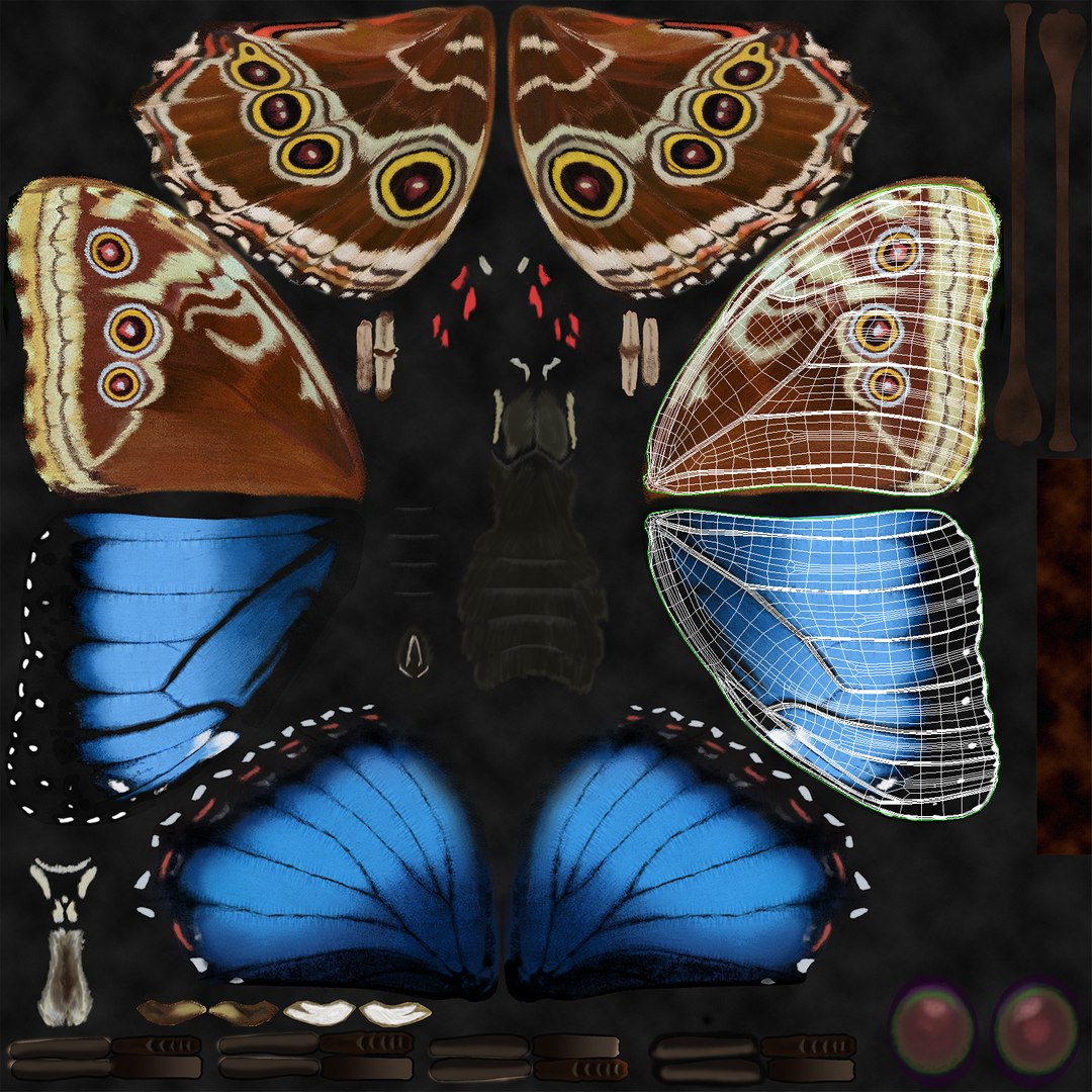 Blue Morpho Butterfly Wings 3d Model