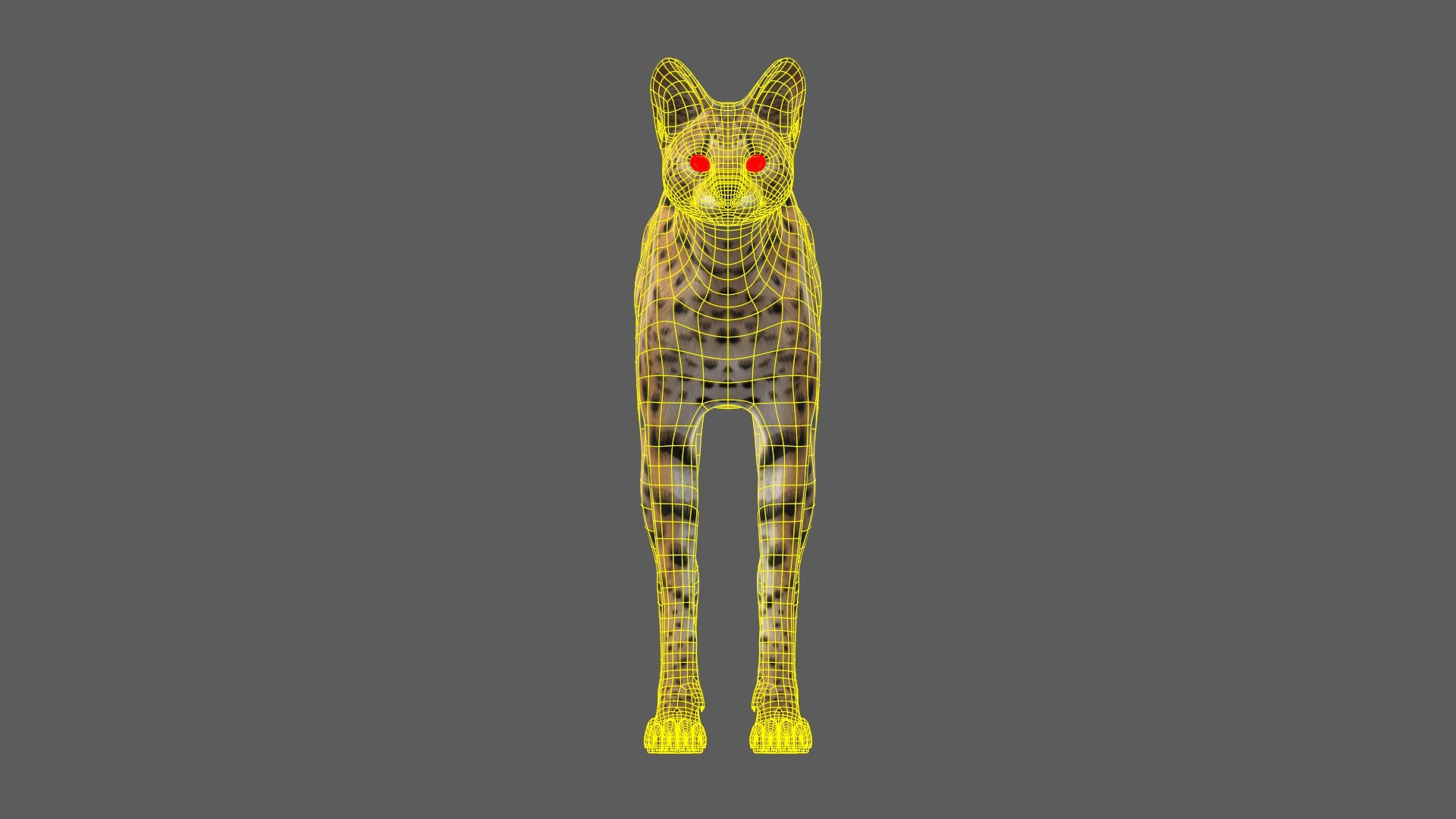 Serval 3D Model - TurboSquid 2000619
