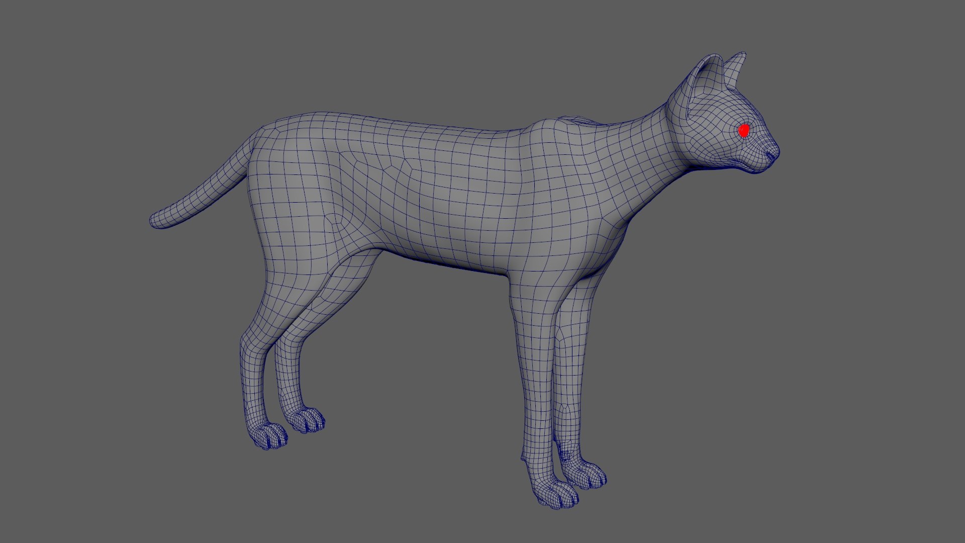 Serval 3D Model - TurboSquid 2000619