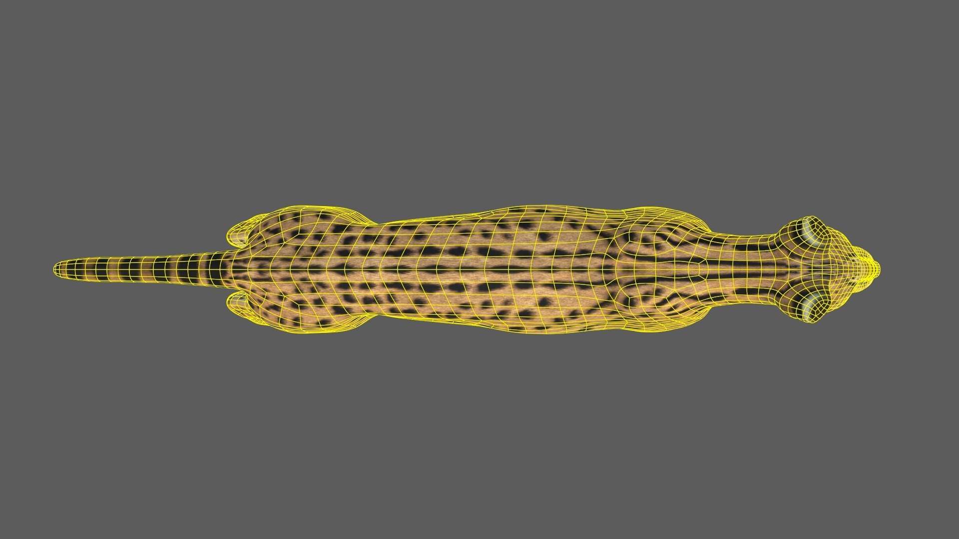 Serval 3D Model - TurboSquid 2000619