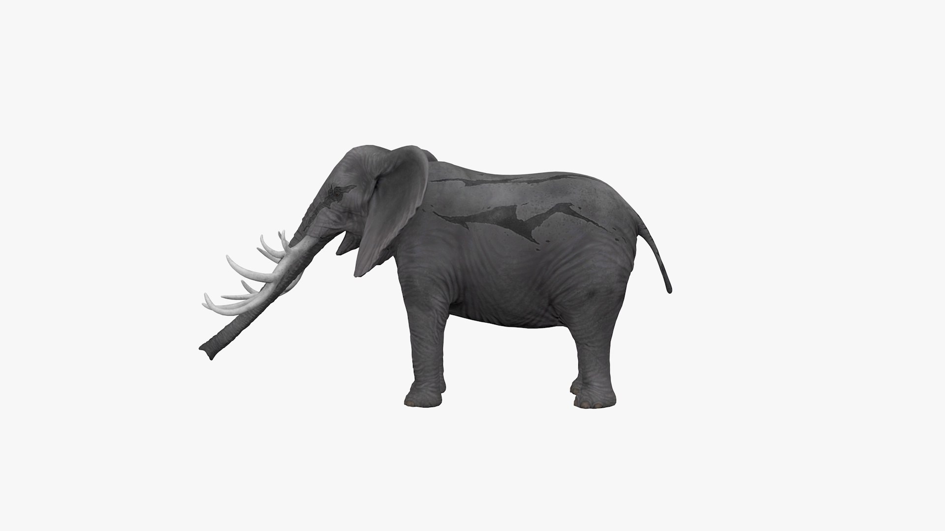 Elephant model - TurboSquid 1839735