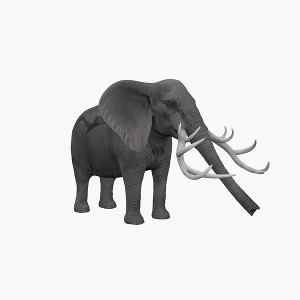 Elephant model - TurboSquid 1839735