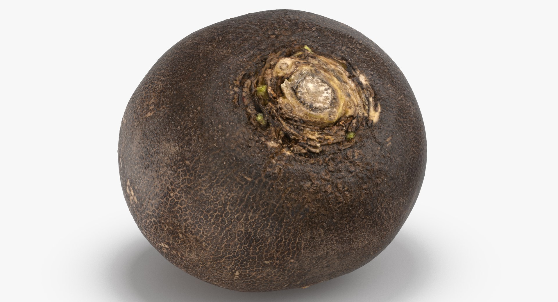 3D Turnip Black 05 - TurboSquid 1770244