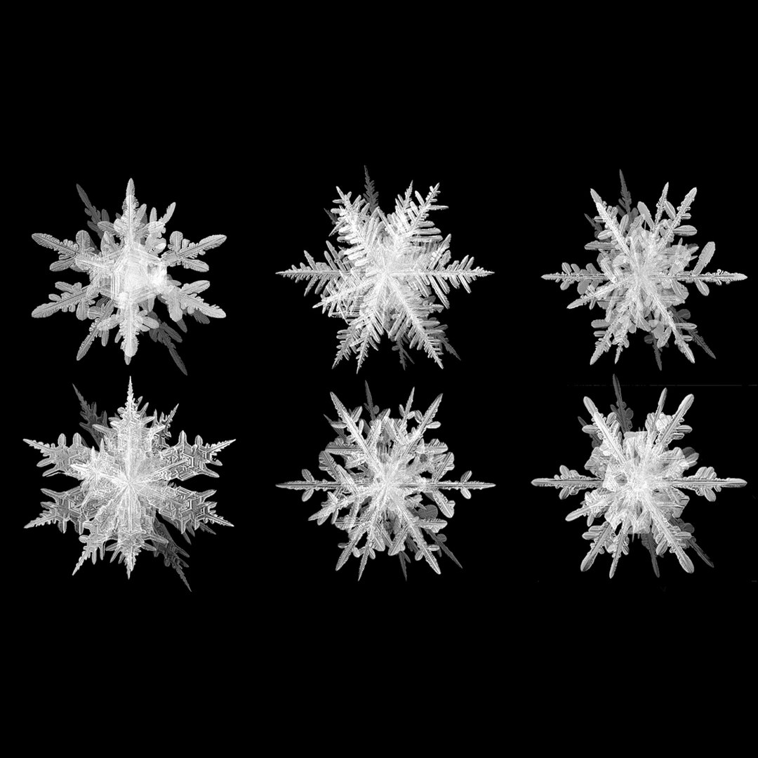 3d Cycles Snowflakes Snow Model