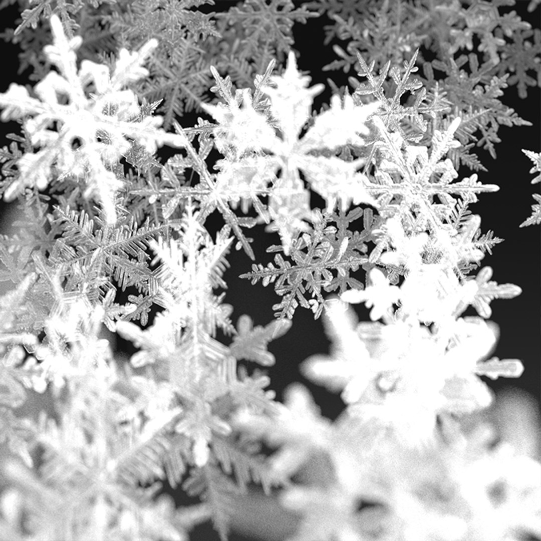 3d Cycles Snowflakes Snow Model